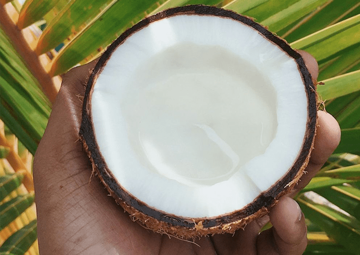 Coconut Oil